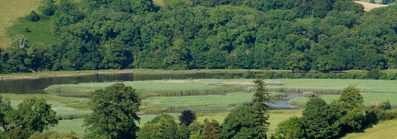 Layout - The Shippon