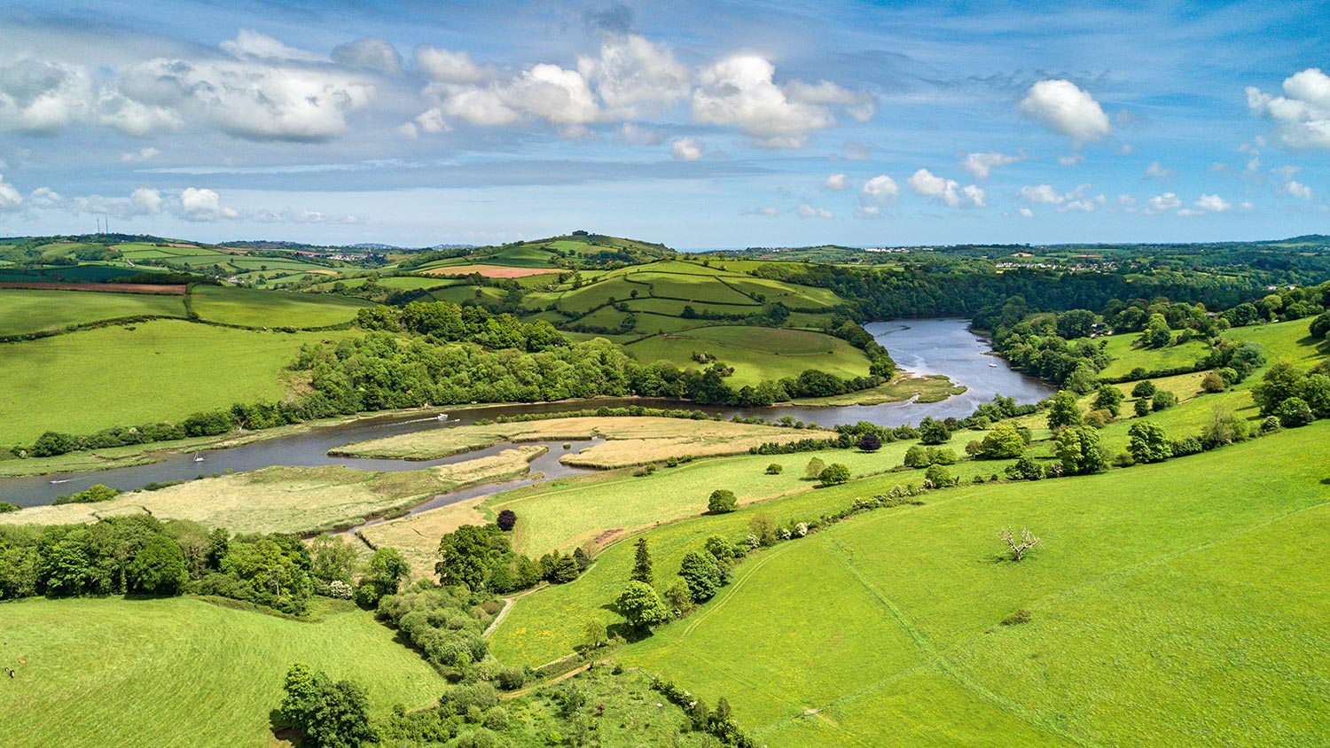 Ten Bedroom Holiday Let - The Shippon - Totnes Devon